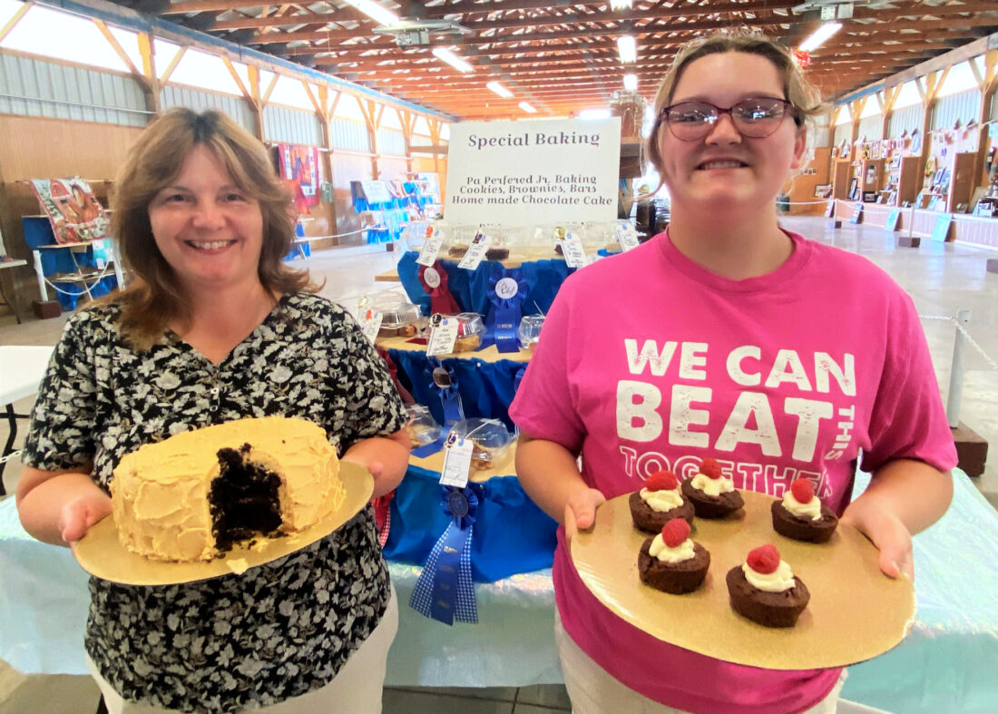 Clinton County Fair annual baking contests see new faces, winners ...